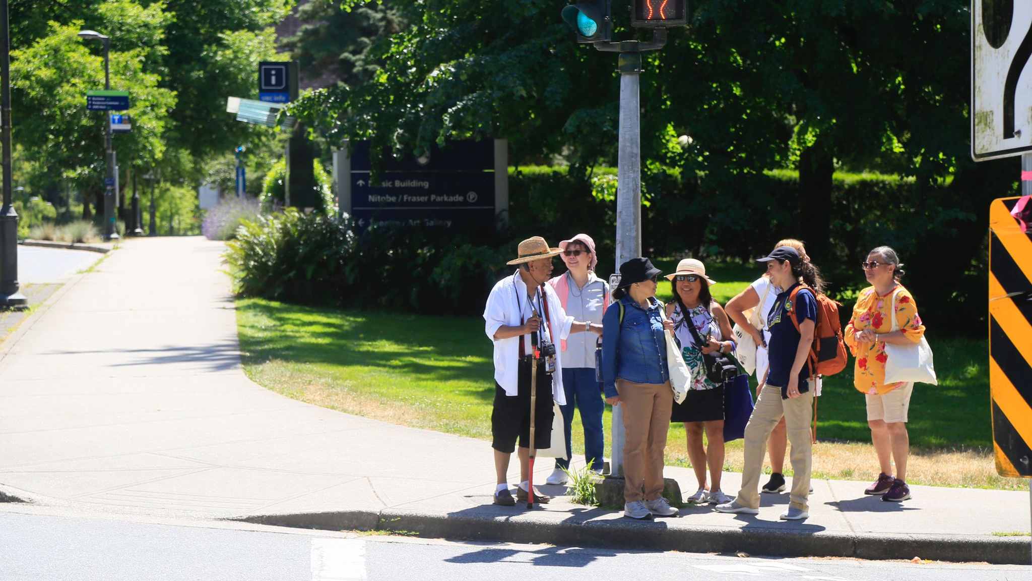 Towards an Age-Friendly University: Insights from Culturally Diverse ...